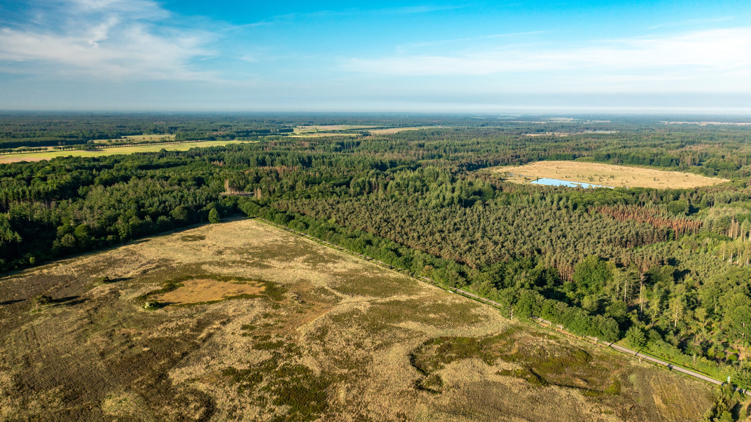 Nieuwe monitor Natuur en Landschap: Friezen genieten van natuur en ...